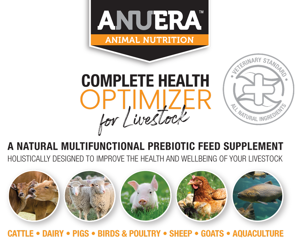 Complete Health Optimizer for Livestock 20kg | Aussie Pets and Stock ...