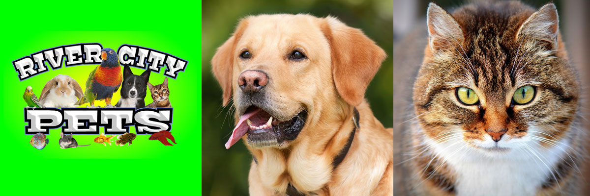 All vendors :: River City Pets