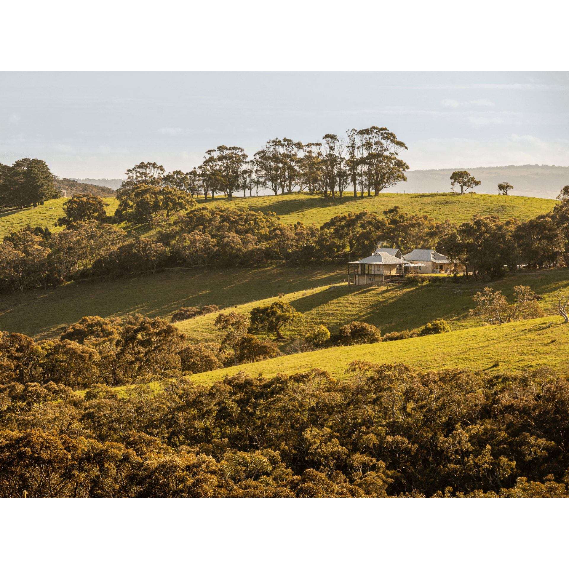 Old Coach Road Estate I Gift Certificate