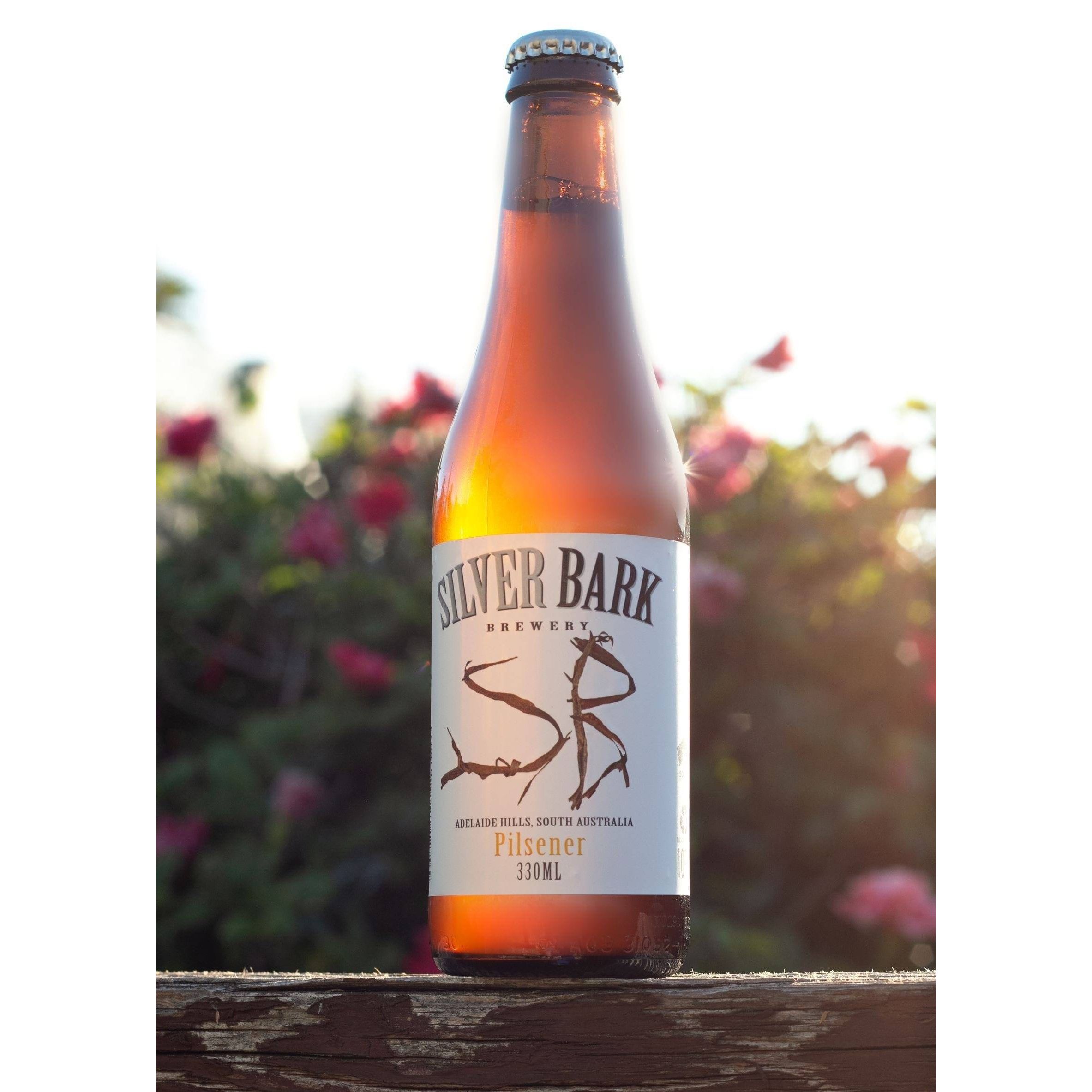 Pilsener 330mL 4% ABV | Silver Bark Brewery