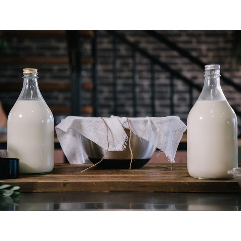 Korinya Farm Gate | Mozzarella & Ricotta - At Home Cheese Making Workshop